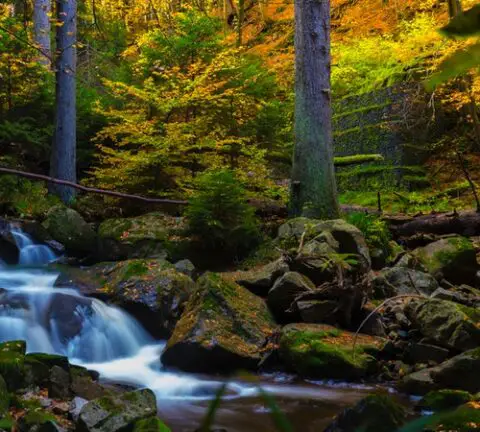 What Is Runoff? - Types, Factors And Effects (explained)