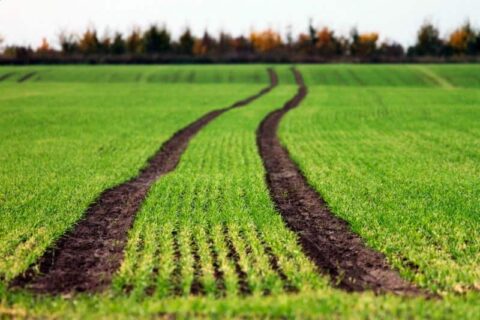 5 Best Ways To Improve Infiltration Rate (Proven)