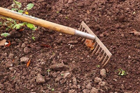 7 Major Factors Affecting Infiltration (explained) - Afrilcate